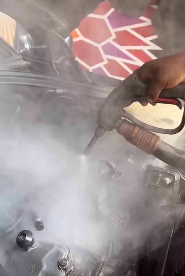Achieve Maximum Performance Through Engine Steam Cleaning